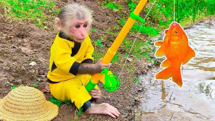 Little Monkey Fishing Adventure for Kids - Colorful Pond Story